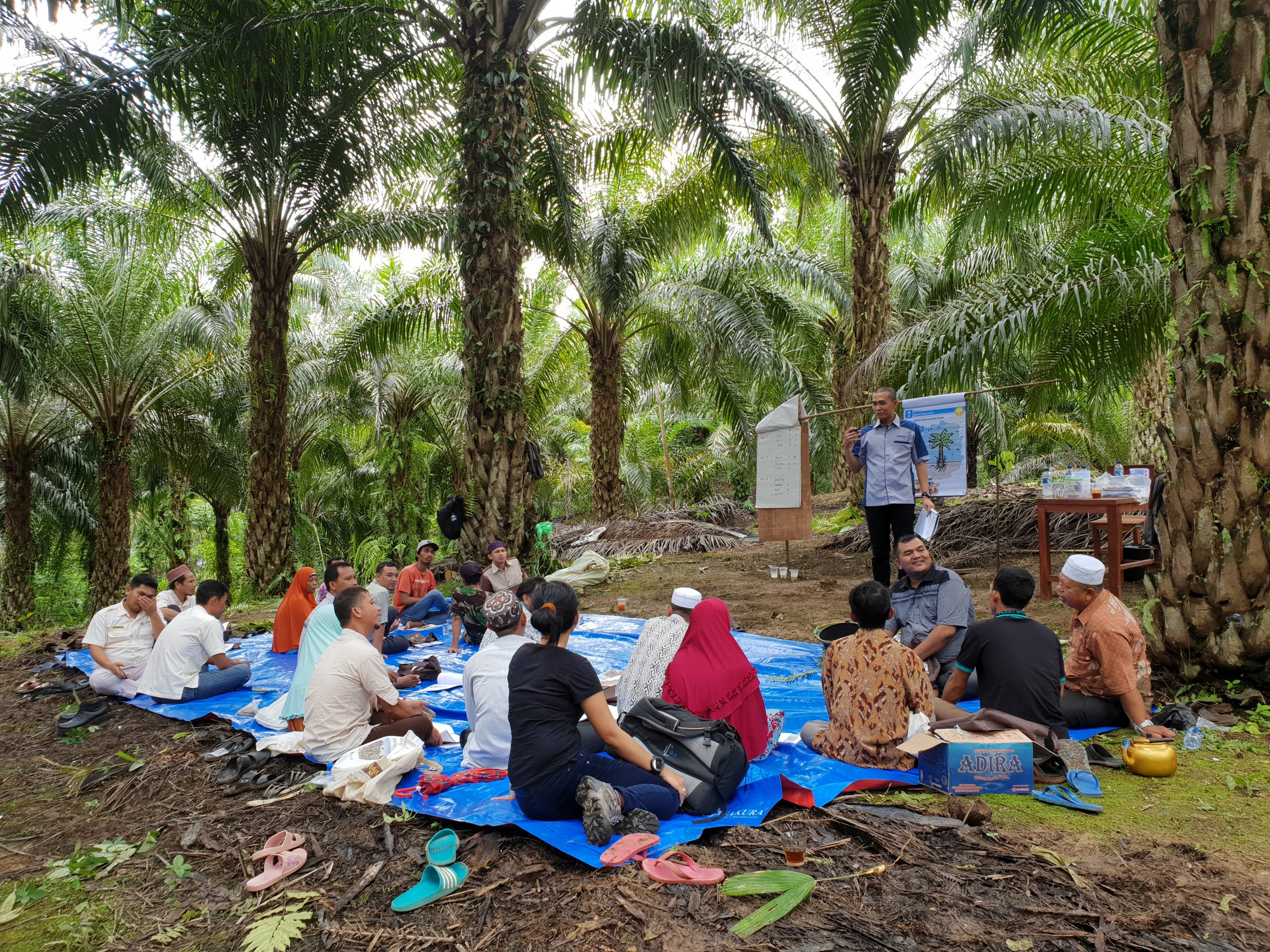 An Insightful First Step - Musim Mas