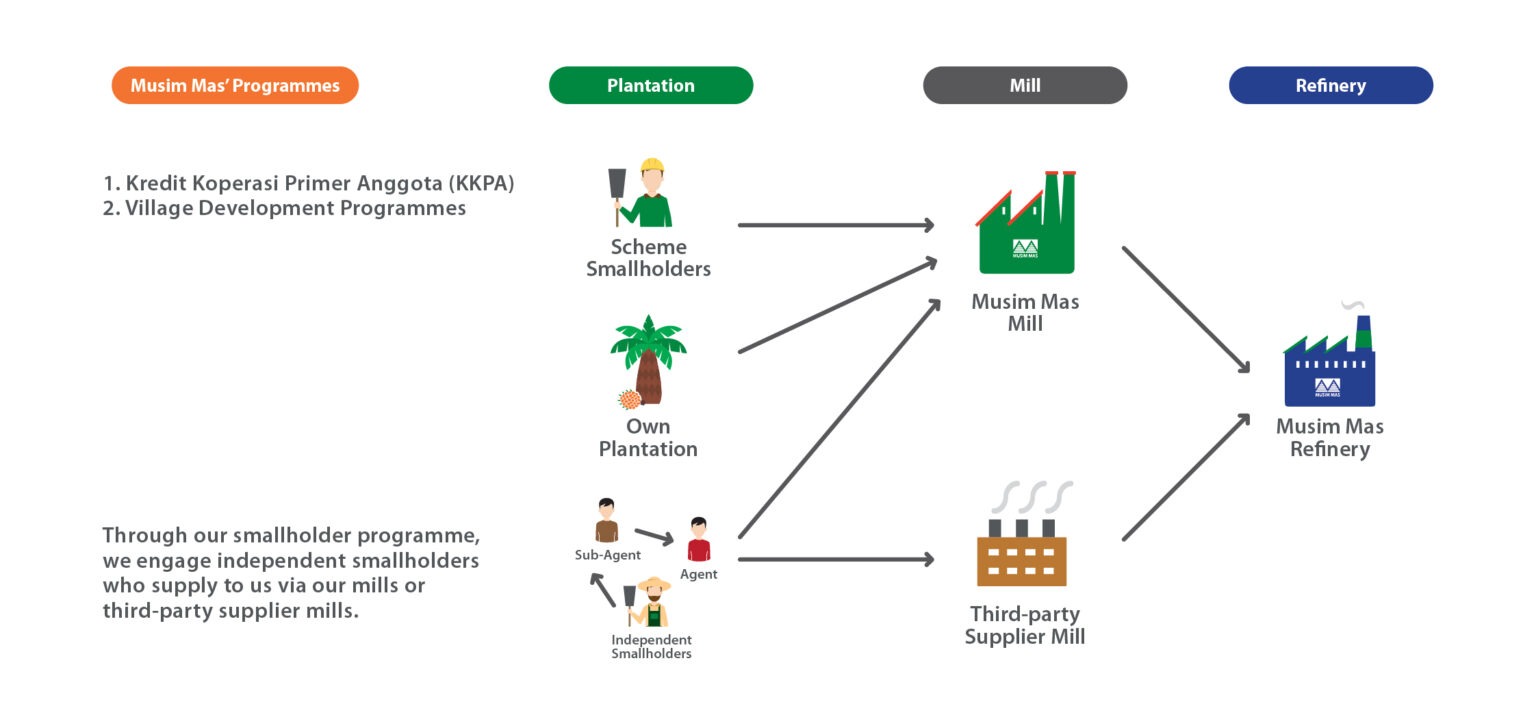 Smallholders - Musim Mas