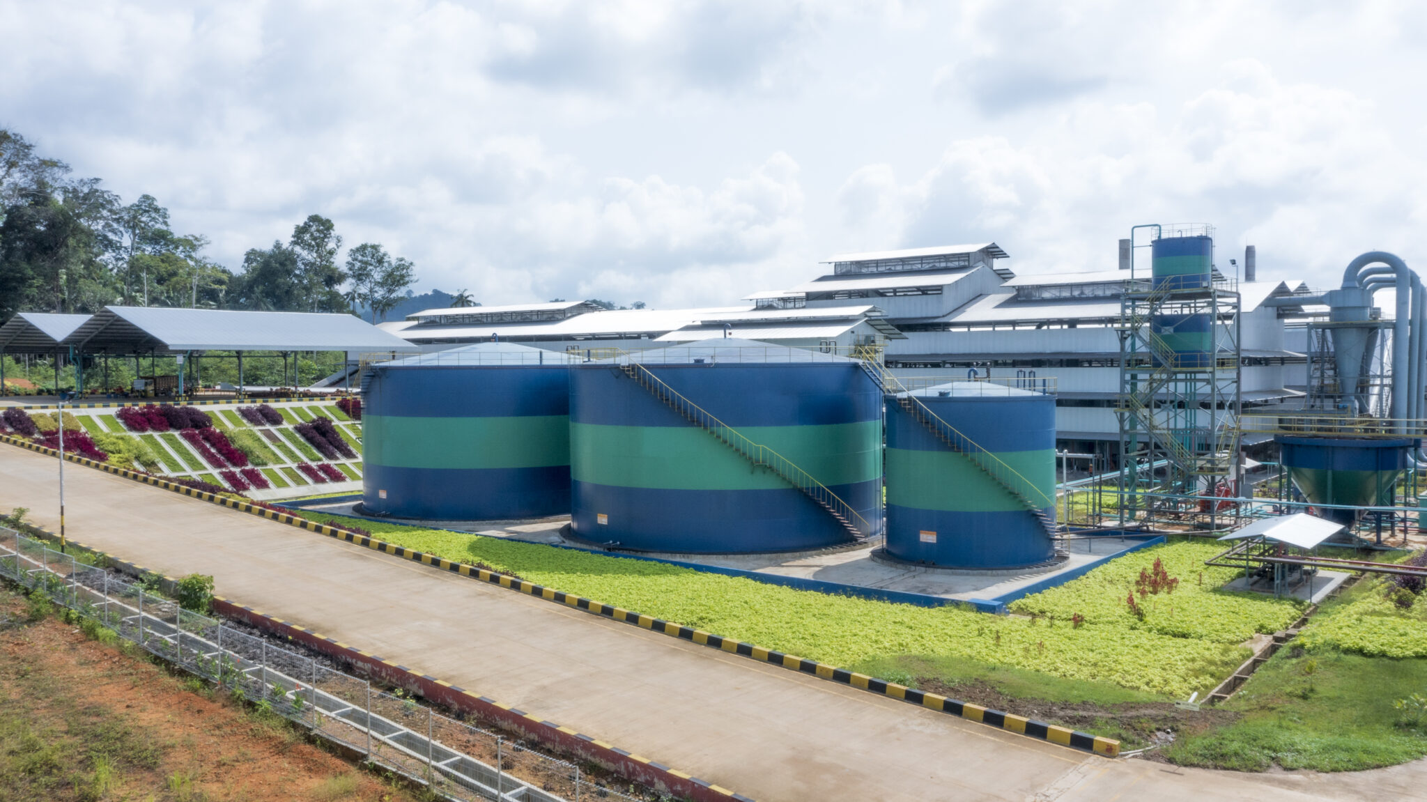 Palm Oil Transportation: How It's Shipped & Moved Globally