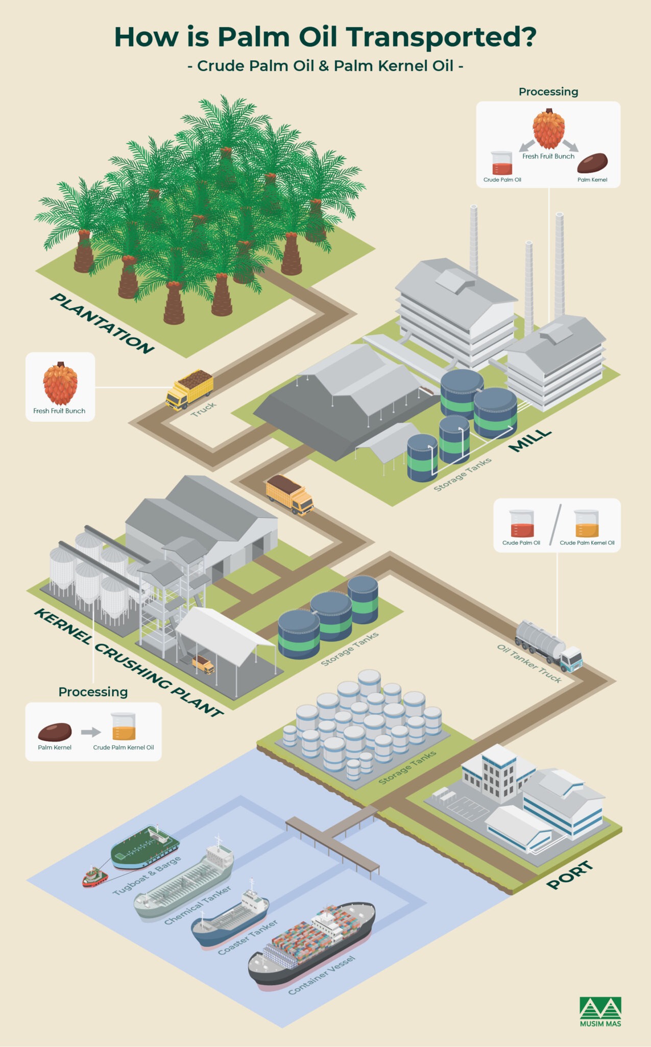 How Is Palm Oil Transported? From Plantation to Supermarket Shelf ...