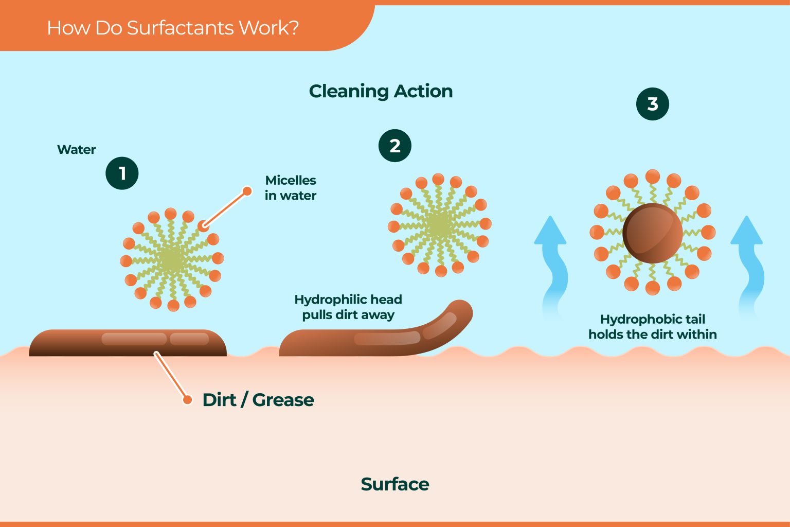 How Safe Are Surfactants for You and the Environment - Musim Mas