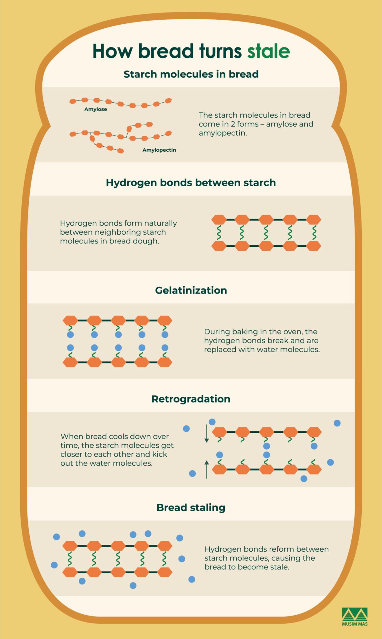 5 Ingredients That Extend the Shelf Life of Bread - Musim Mas