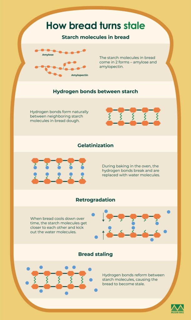 5 Ingredients That Extend the Shelf Life of Bread - Musim Mas