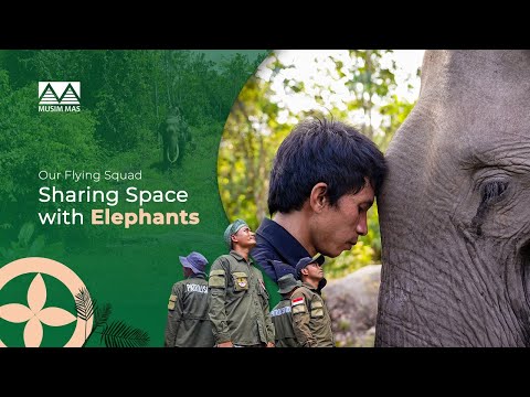 Resources Overview - Musim Mas