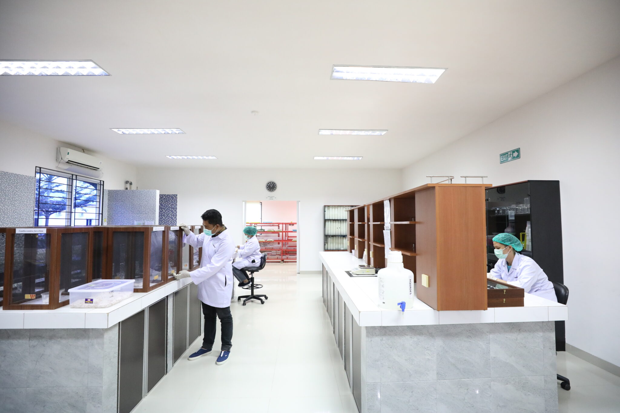 Integrated Pest Management for Sustainable Palm Oil Production | Musim Mas