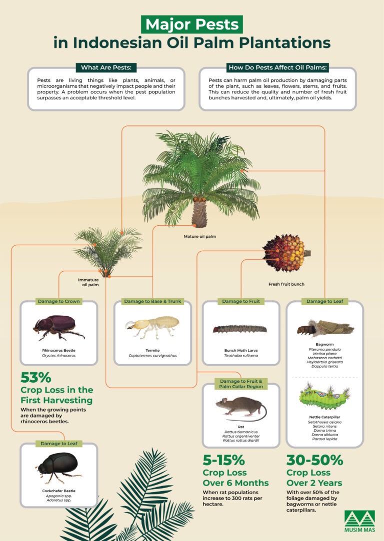 Integrated Pest Management for Sustainable Palm Oil Production | Musim Mas