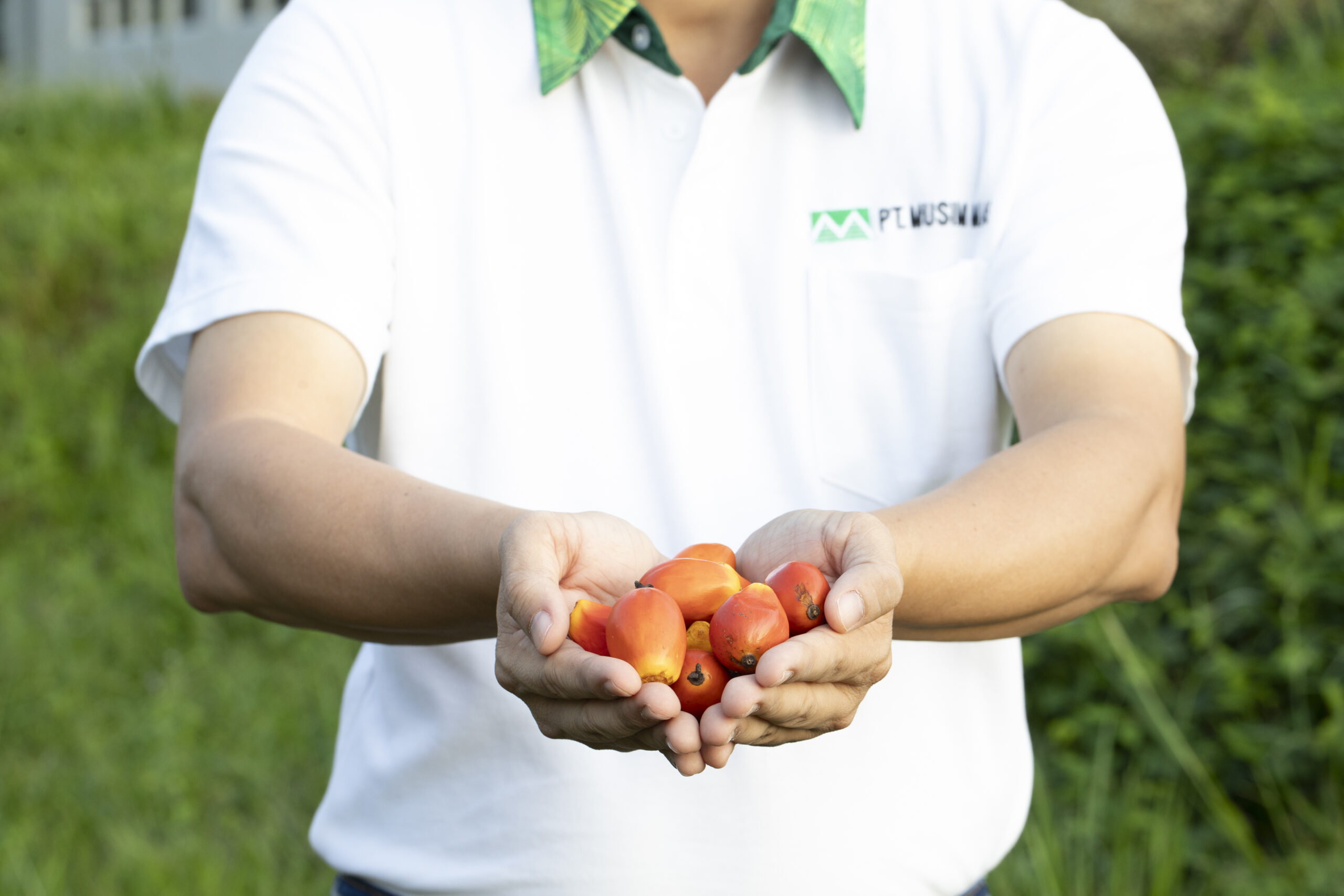 Resources Overview - Musim Mas