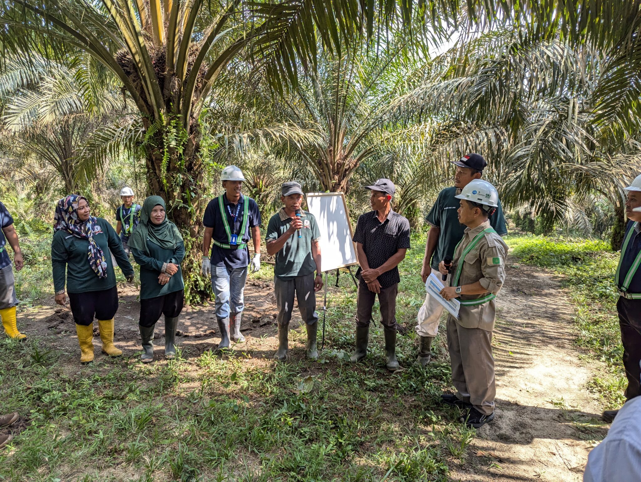 Regenerative Agriculture: A Sustainable Farming Model for Smallholders ...
