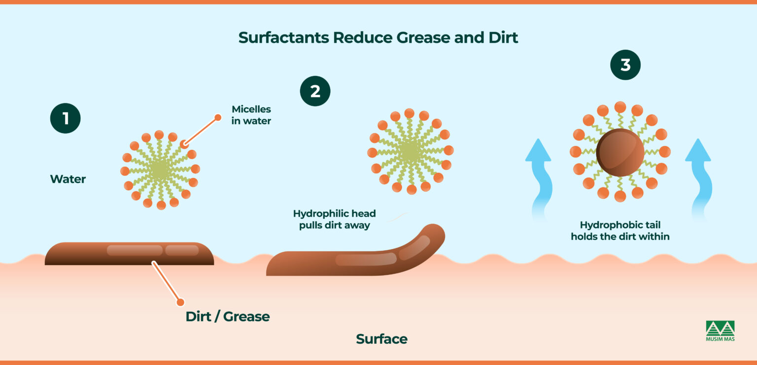 What Are Surfactants? Uses, Benefits, and Safety