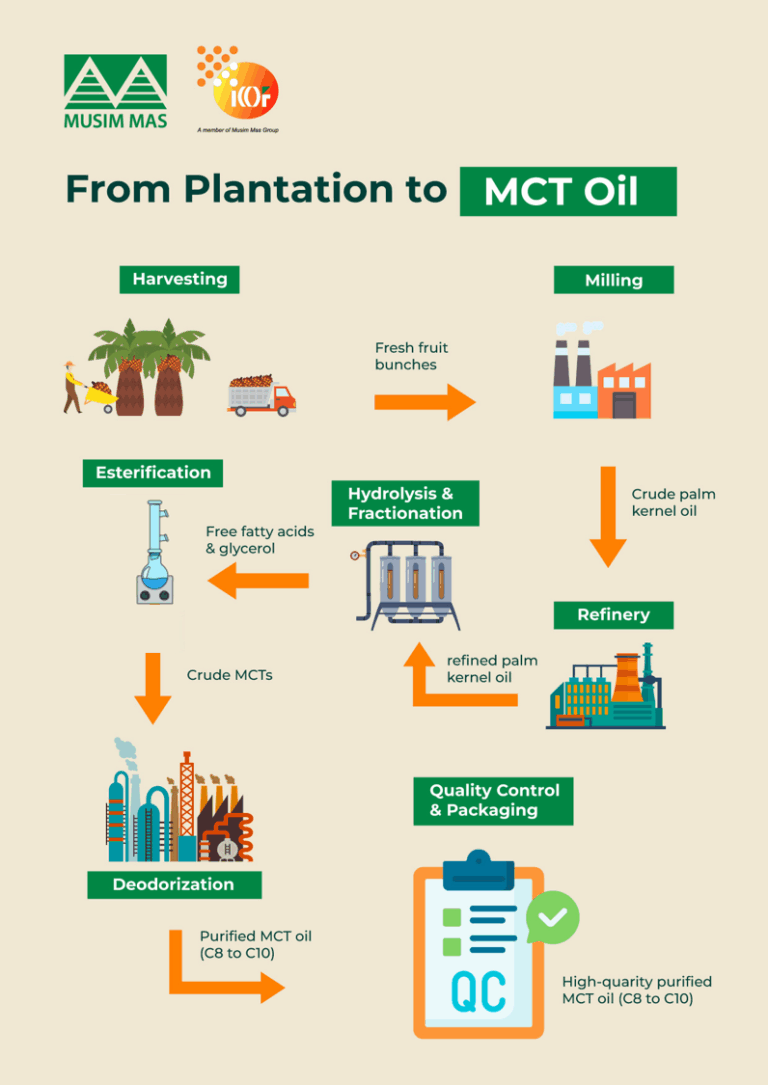 What is MCT Oil? Benefits, Uses, and Why It Matters
