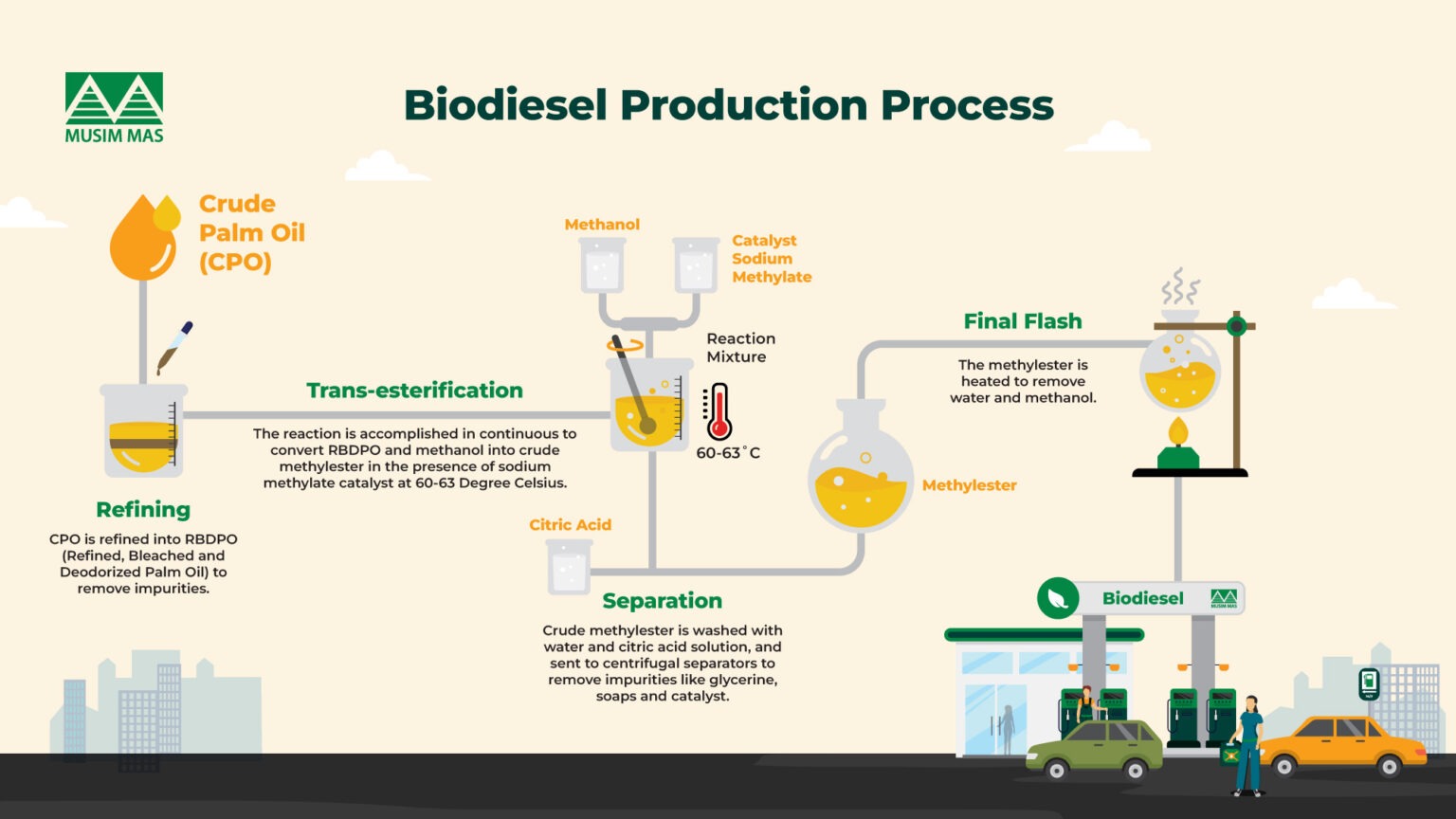Palm Oil Biodiesel Explained: Renewable Energy for a Low-Carbon Future