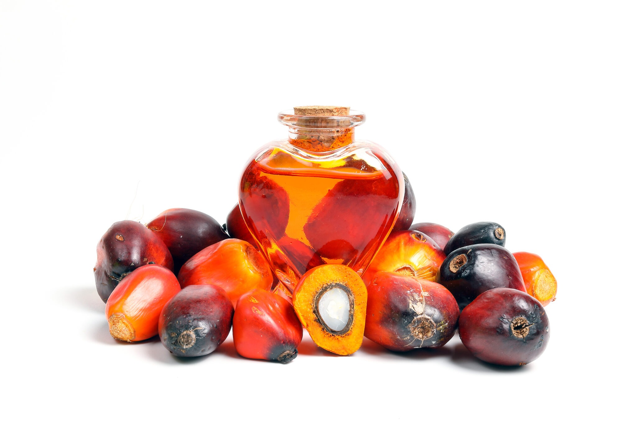 Palm Oil vs Other Oils: What Makes It Different?
