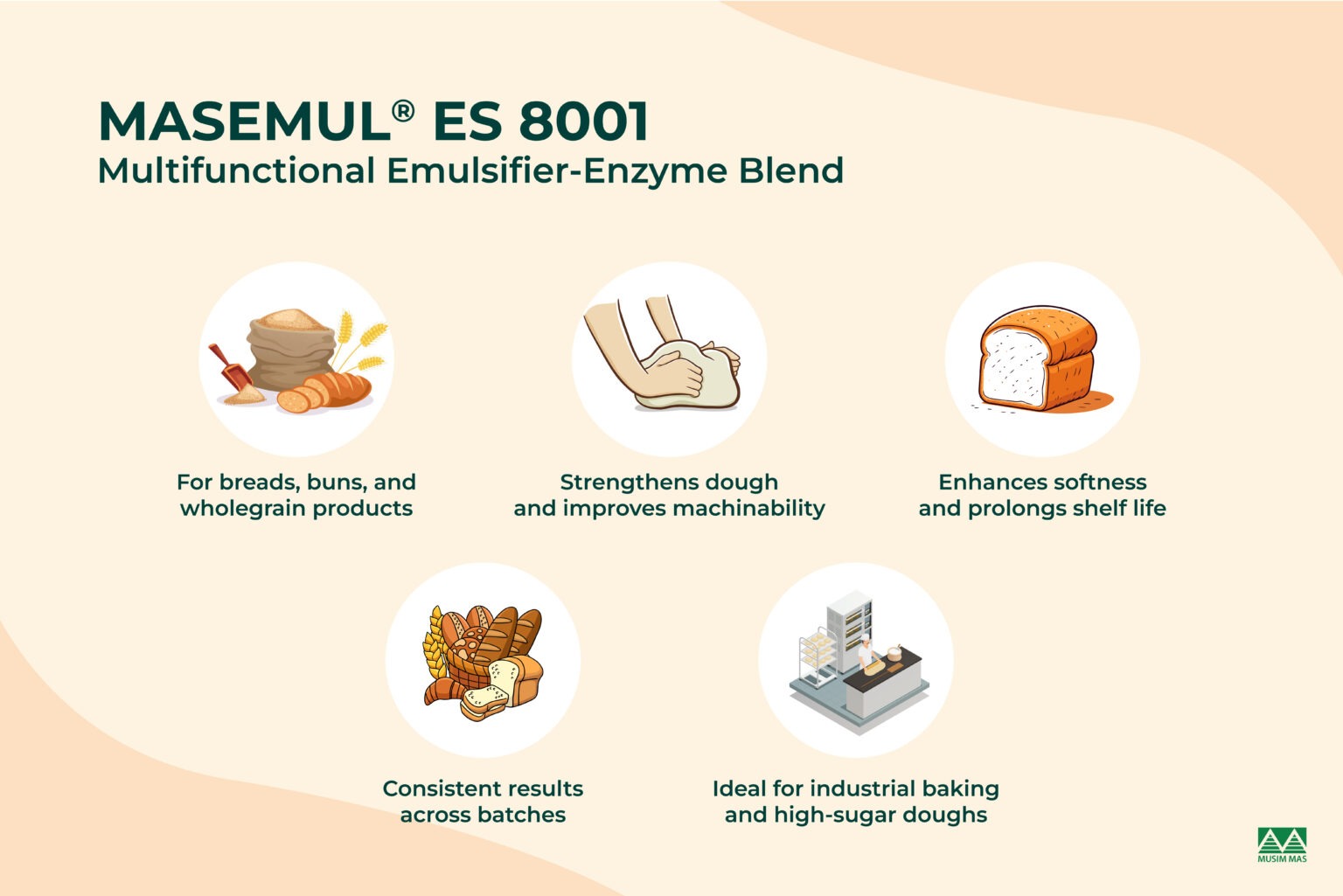 Bread Improvers Explained: Key Ingredients and Benefits